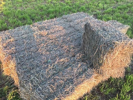 Hay Sales | Sandalwood Ranch