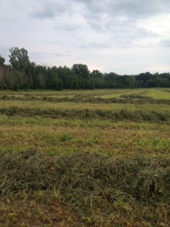 Gallery | Sandalwood Ranch